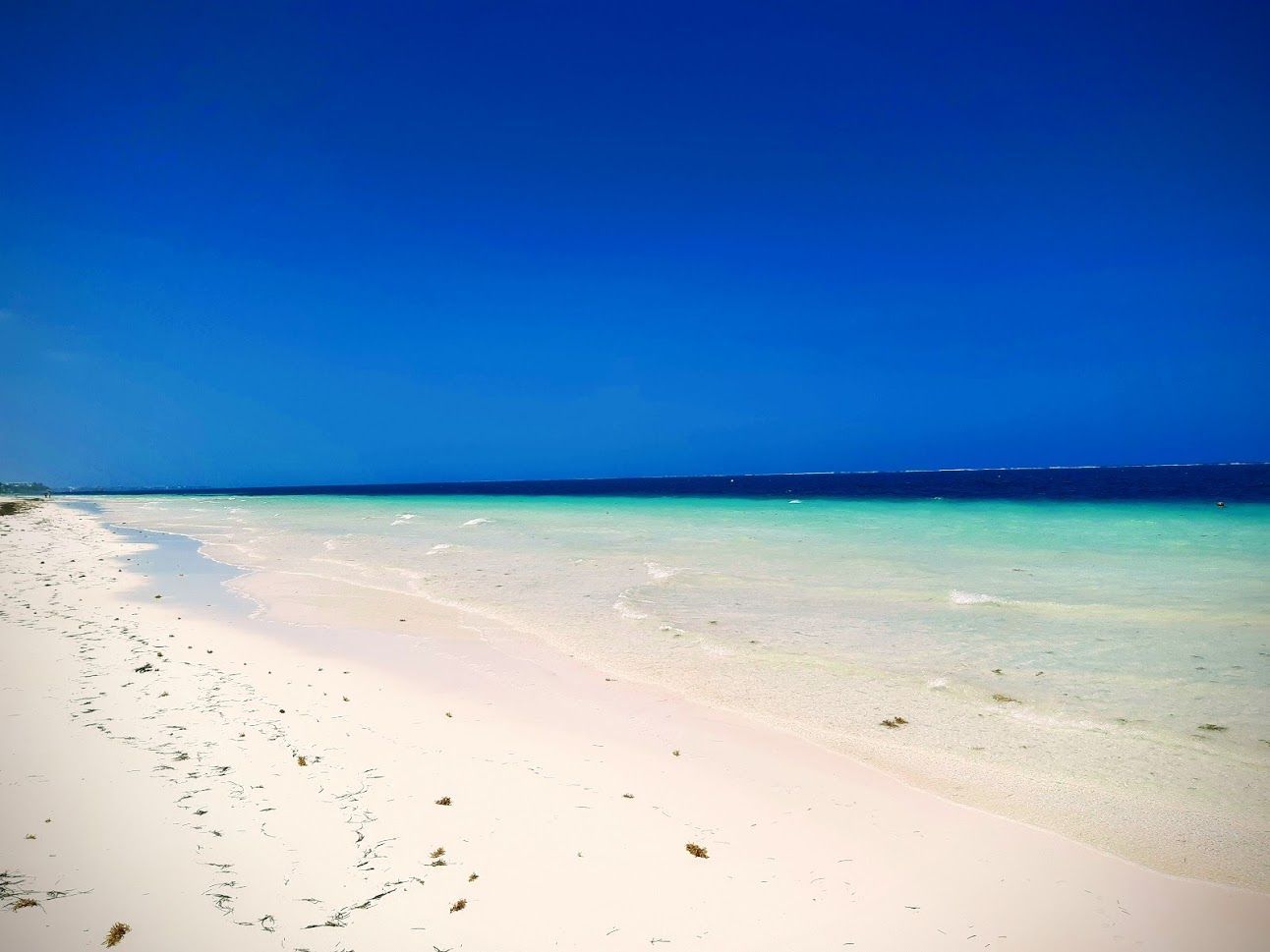 Beach-spring-2020 - InPuertoMorelos.comInPuertoMorelos.com